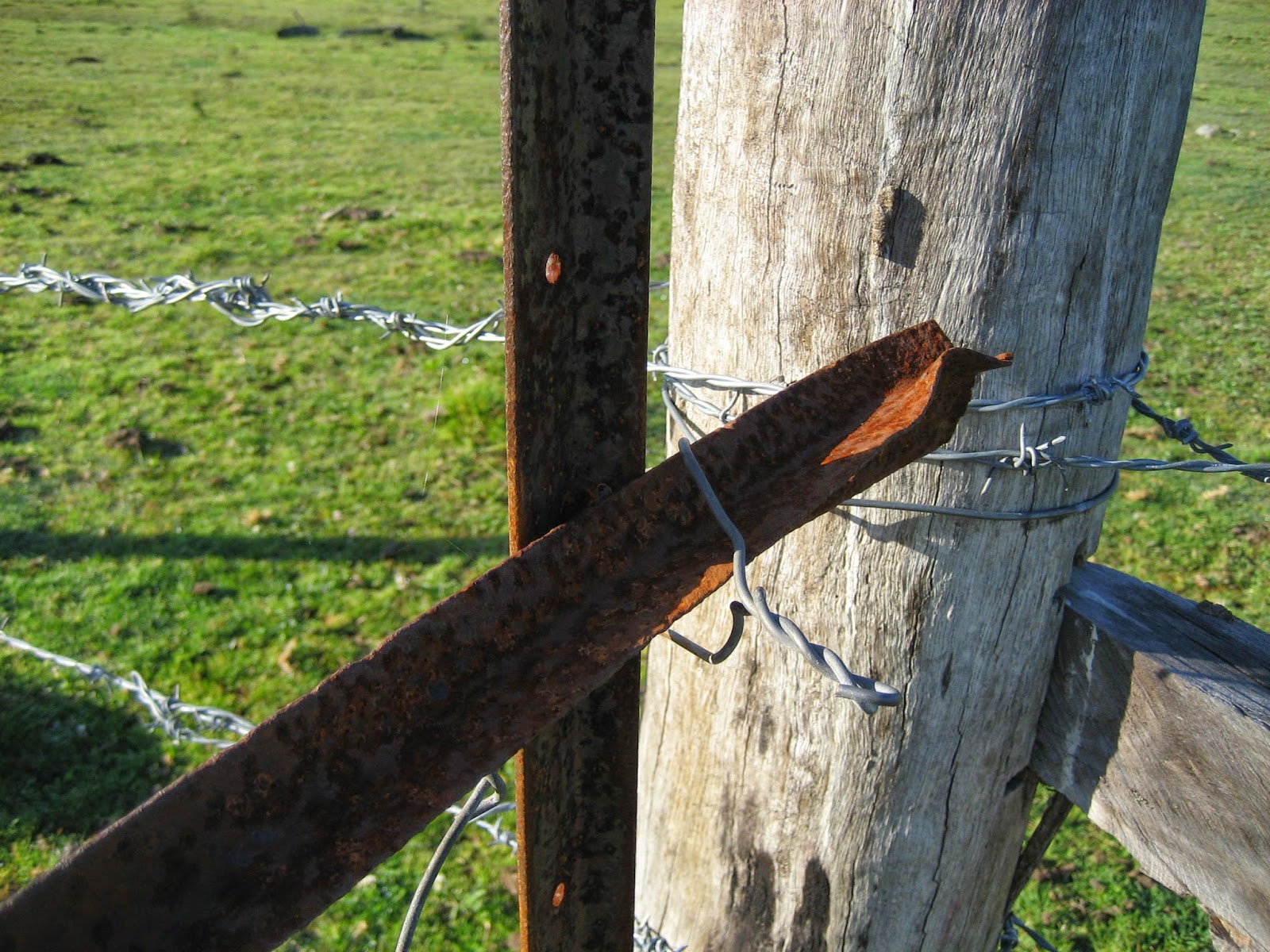 Life at Arbordale Farm: A Latchy Link Up